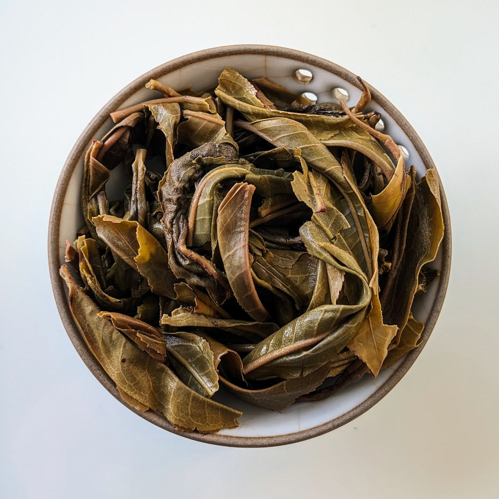 2023 Lu Shui Tang Ancient Tree Raw Pu Erh Tea Cake 200g | Teasenz.eu